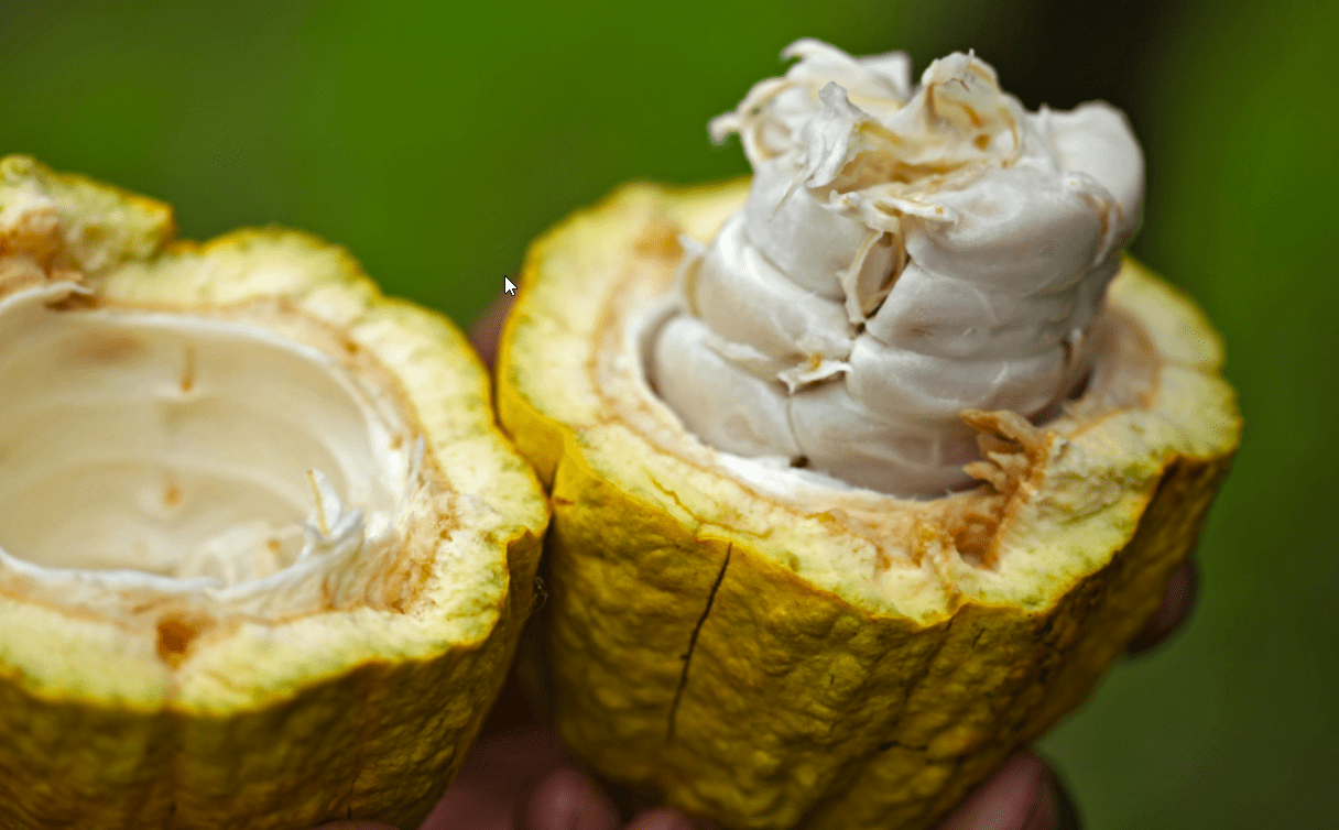 All About Mexican Candy, and Where To Get Some - Facts Of Mexico